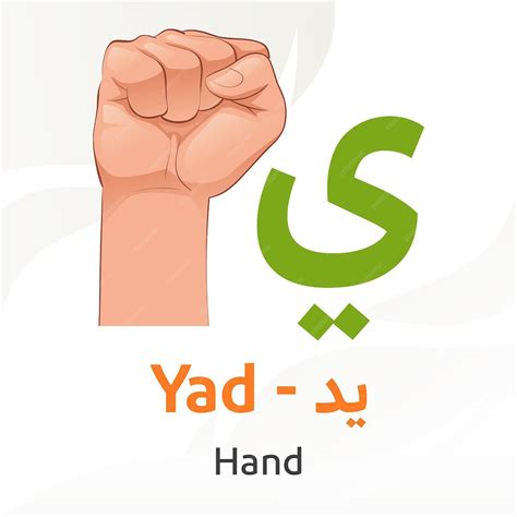 아랍어 알파벳 아랍어 문자로 아랍어 문자 배우기 프리미엄 Psd 파일