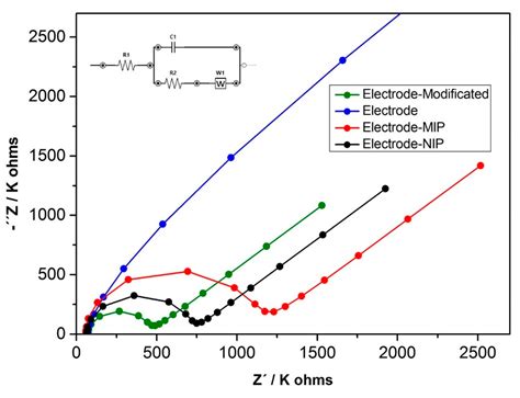 Development Of An Electrochemical Sensor Conjugated With Molecularly Imprinted Polymers For The
