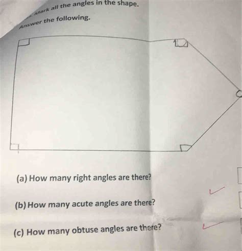 Solved Mark All The Angles In The Shape Answer The Following A How