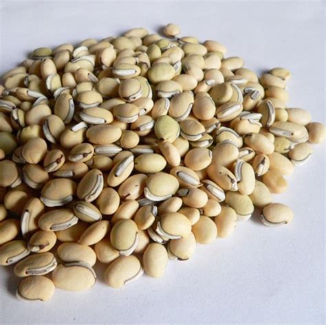 白扁豆价格多少钱一斤 哪里可以买到 中药网