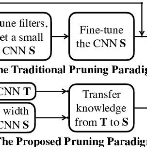 A Comparison Between The Typical Pruning Paradigm And The Proposed Download Scientific Diagram