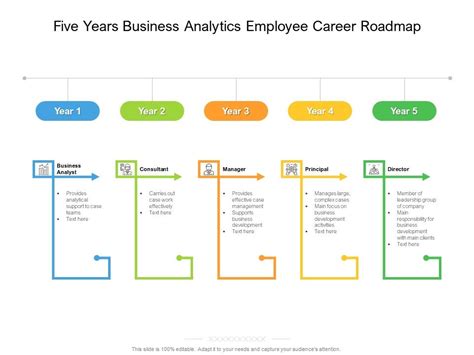 Five Years Business Analytics Employee Career Roadmap Infographics