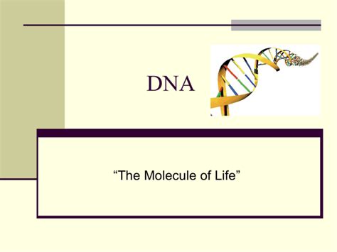 Dna Powerpoint