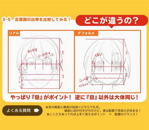 お絵かき講座パルミー On Twitter リアル絵とデフォルメ絵の比率は、「目」以外は大体同じです💡パーツの配置・バランスが大切です