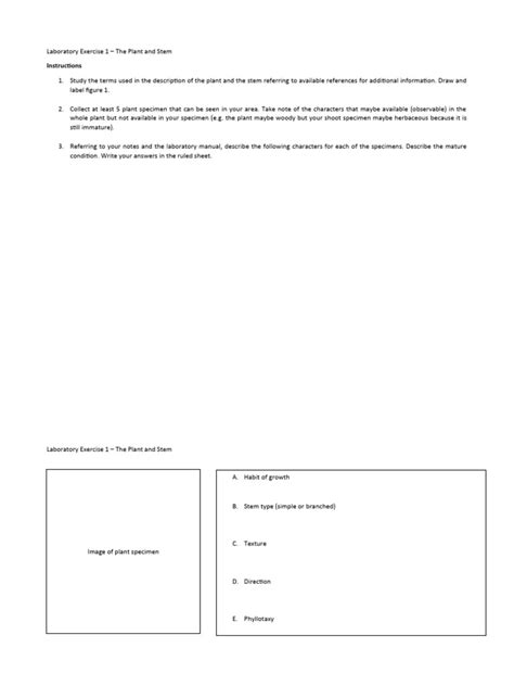 Laboratory Exercise 1 Answer Sheet Pdf