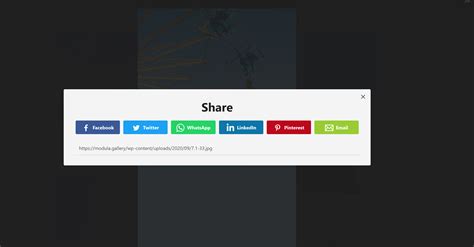 How To Add Social Links To Images Modula