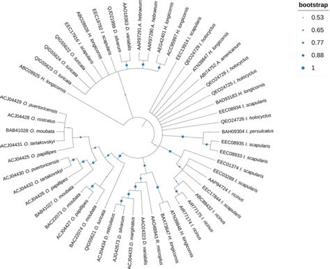 Defensins As A Promising Class Of Tick Antimicrobial Peptides A Scoping Review Pmc