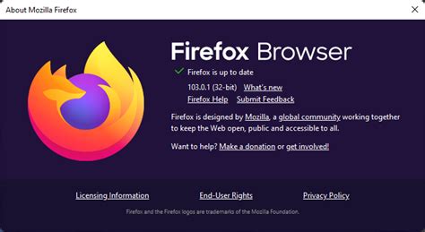 Why Is My Internet Browser Screen Black And How To Fix It