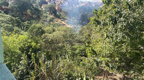Guarda Ambiental flagra desmatamento e ocupação irregular em bairro de Cotia