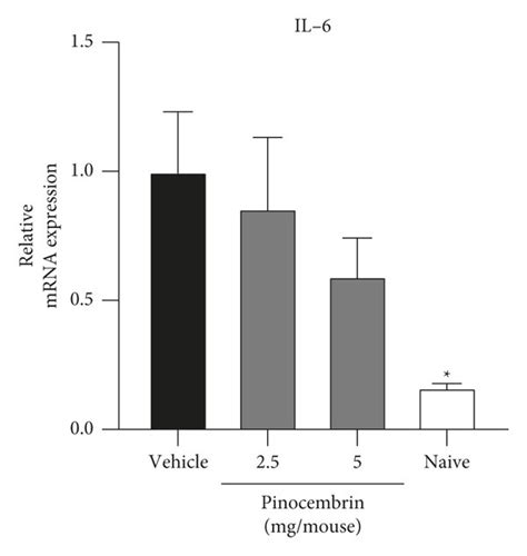 Pinocembrin Ameliorated Inflammatory Cytokine Production In Imq Treated