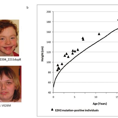 PDF Germline Mutations In The Oncogene EZH2 Cause Weaver Syndrome And Increased Human Height