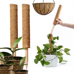 Hortigrow Pvt Ltd Best Cocopeat And Coir Products