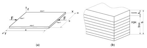 Analysis Of The Functionally Step Variable Graded Plate Under In Plane