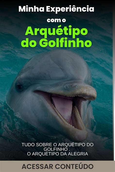 Arquétipo do Golfinho Golfinhos Arquétipo Arquétipos