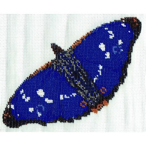 Borduurpakket Vlinder X Cm Blauw Zwart Grijs Kralenpost