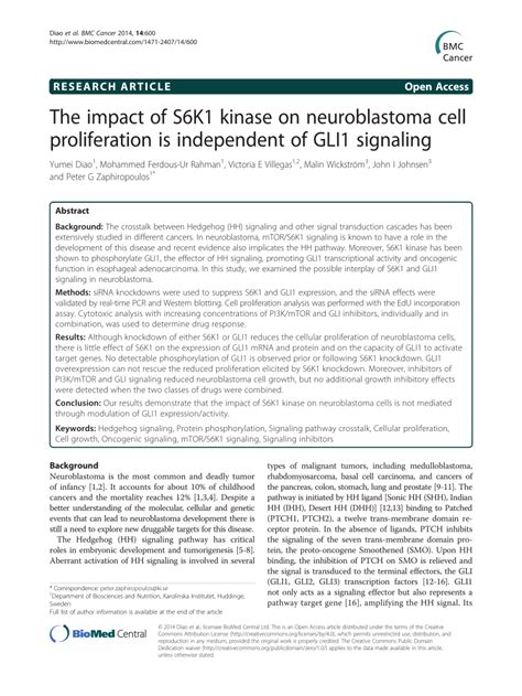 Pdf The Impact Of S6k1 Kinase On Neuroblastoma Cell Proliferation Is