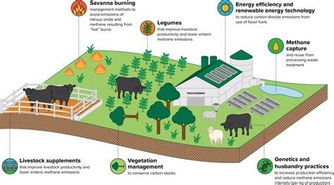 Carbon 101 The Toolbox Mla Elearning
