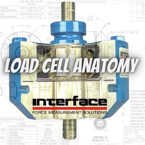 The Anatomy Of A Load Cell Interface Inc