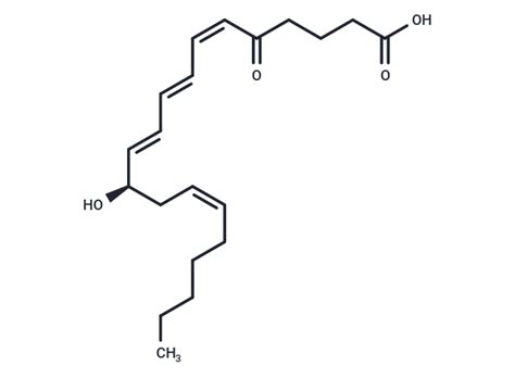 5 Oxo Leukotriene B4 Targetmol