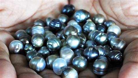 5 Different Types Of Pearls And How To Tell Them Apart Pearls