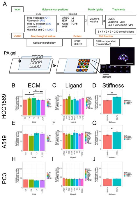 Isolating The Effects Of Individual Components Of Combinatorial