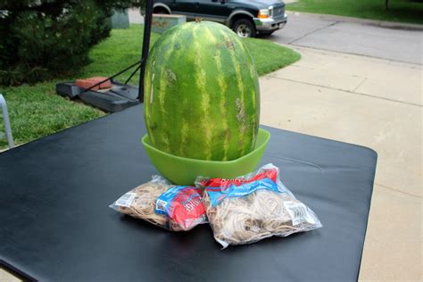 Exploding Watermelon