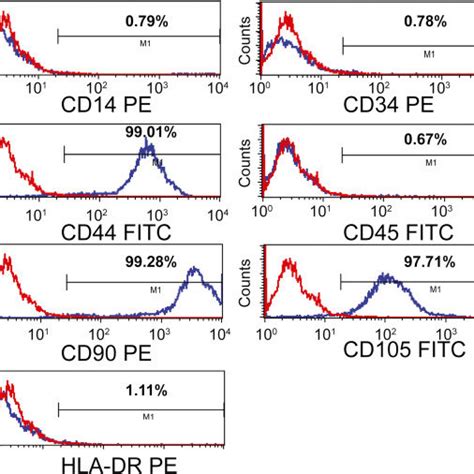 Surface Marker Expression In Mscs Mscs Were Confirmed By Flow