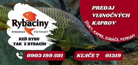 Rybníky Raková Predaj VianoČnÝch Kaprov Aj V Rajeckej