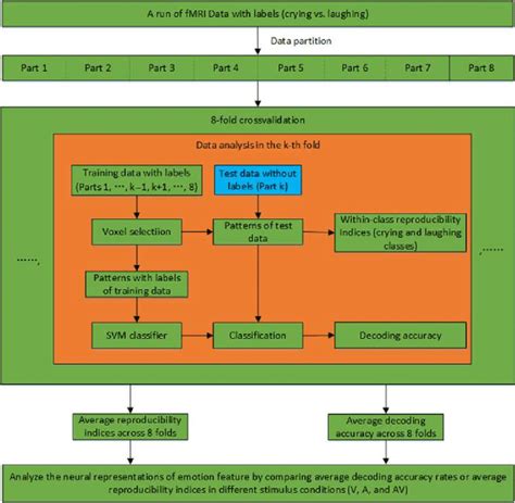 Mvpa Procedure For Calculating The Reproducibility Indices And Decoding
