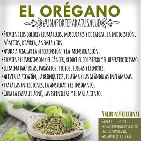Pin En Detox