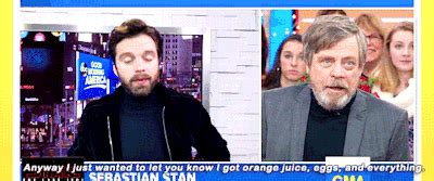 Sebastian Stan Leaves Message For Mark Hamill Tumbex