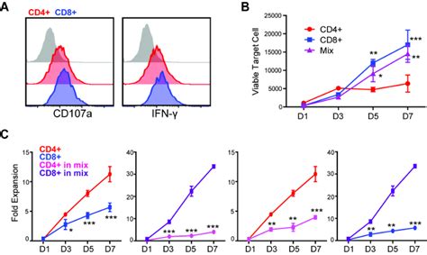 In Vitro Tumor Cell Rechallenge For Predictive Evaluation Of Chimeric