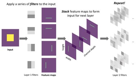 Convolutional Neural Networks