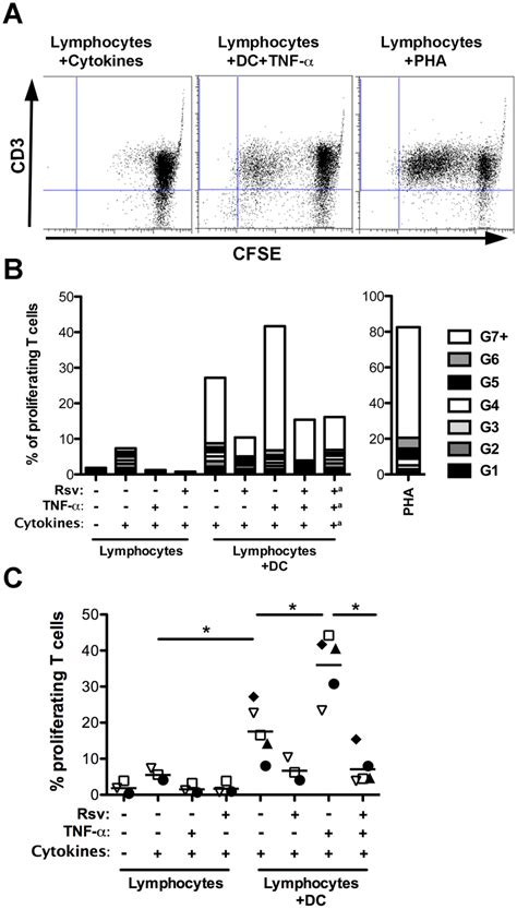 Resveratrol Inhibits T Cell Proliferation In Response To Tnf A