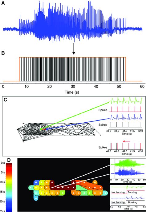 Processing Pipeline For Emg Data Analysis Data From A 240 Download