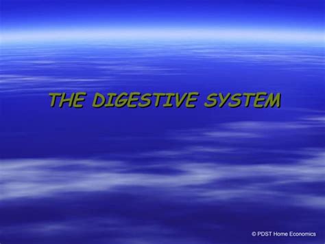 The Digestive System In Humans Powerpoint Ppt