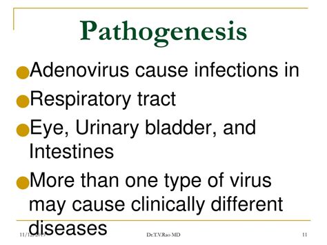 Ppt Adenovirus Powerpoint Presentation Free Download Id 853286