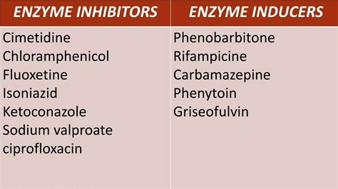 Cytochrome P450 Enzyme Inducers And Inhibitors Youtube
