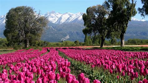 Viajes Soñados Una Experiencia Multicolor En La Cordillera De Chubut