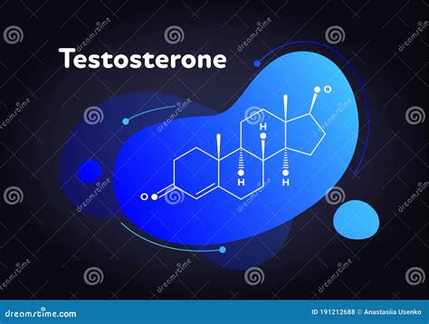 Testosterone Structure Anatomy Vector Illustration Cartoondealer