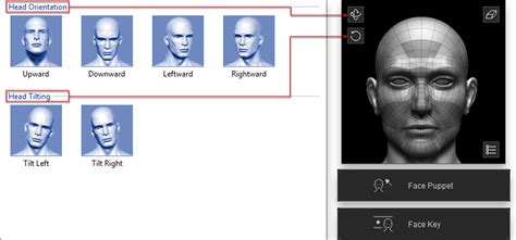 Setting Head Movement Data