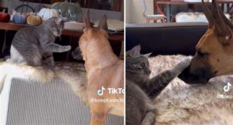 Questa è l unica cosa che non dovresti mai fare se vuoi guadagnarti il