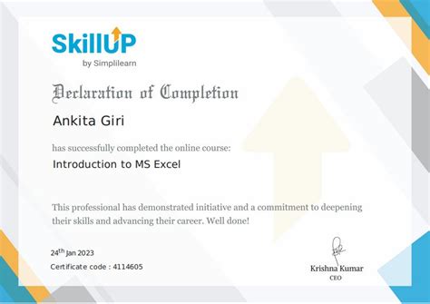 Ankita Giri On Linkedin Excel Coursecompletion Microsoftexcel