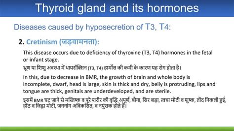 Thyroid Gland Hormones Of Thyroid Gland Ppt