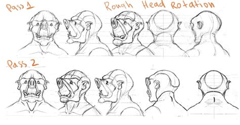 Dimanology Character Design Rough Head Rotation