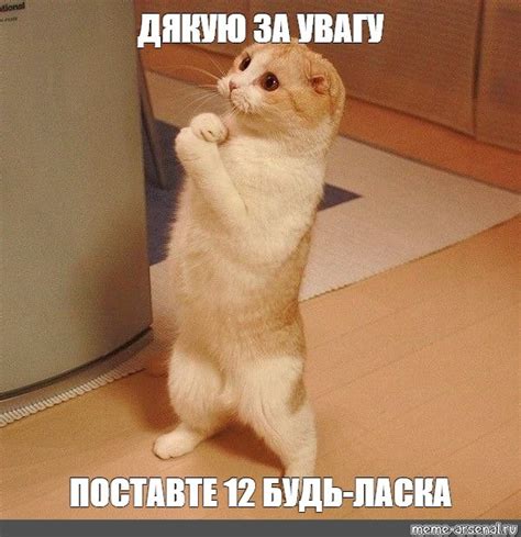 Create Meme The Cat Begs The Meme Meme Kote Cat Pictures Meme