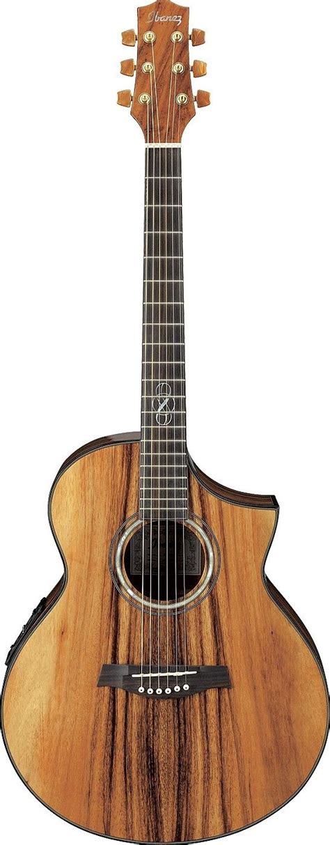 Read More About Ibanezs Ew50 Acoustic Electric Guitar