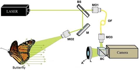 DHI Experimental Set Up With A High Speed Camera CMOS Technology Download Scientific Diagram