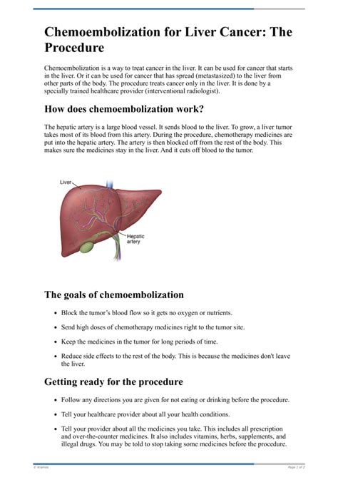 Text Chemoembolization For Liver Cancer The Procedure Healthclips