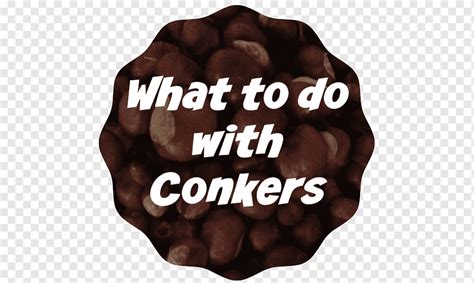 초콜릿 초콜릿 코코아 콩 초콜릿 초콜릿 코팅 땅콩 Png Pngwing